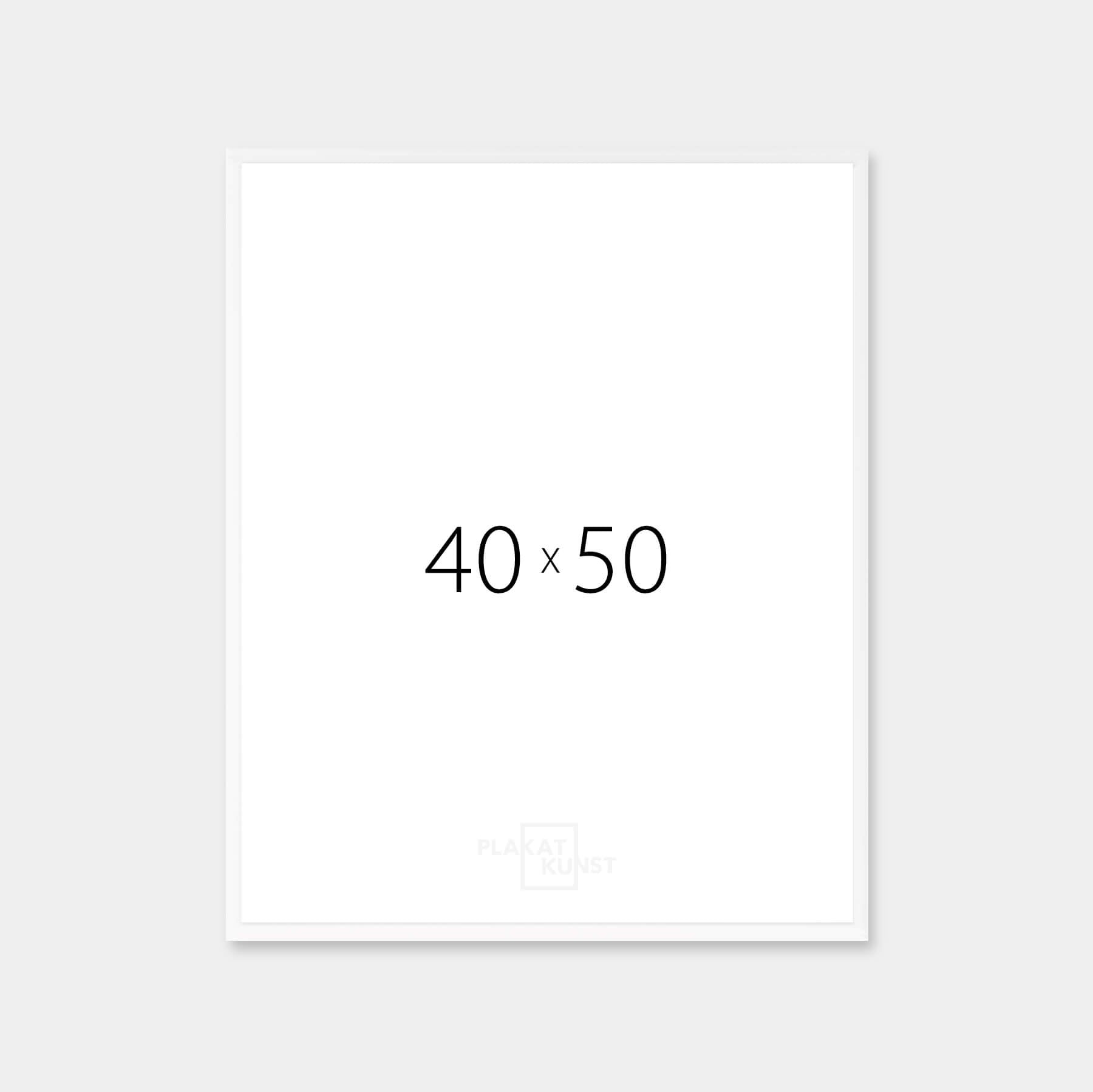 Silver 40x50 aluminum picture frame | PlakatKunst.com