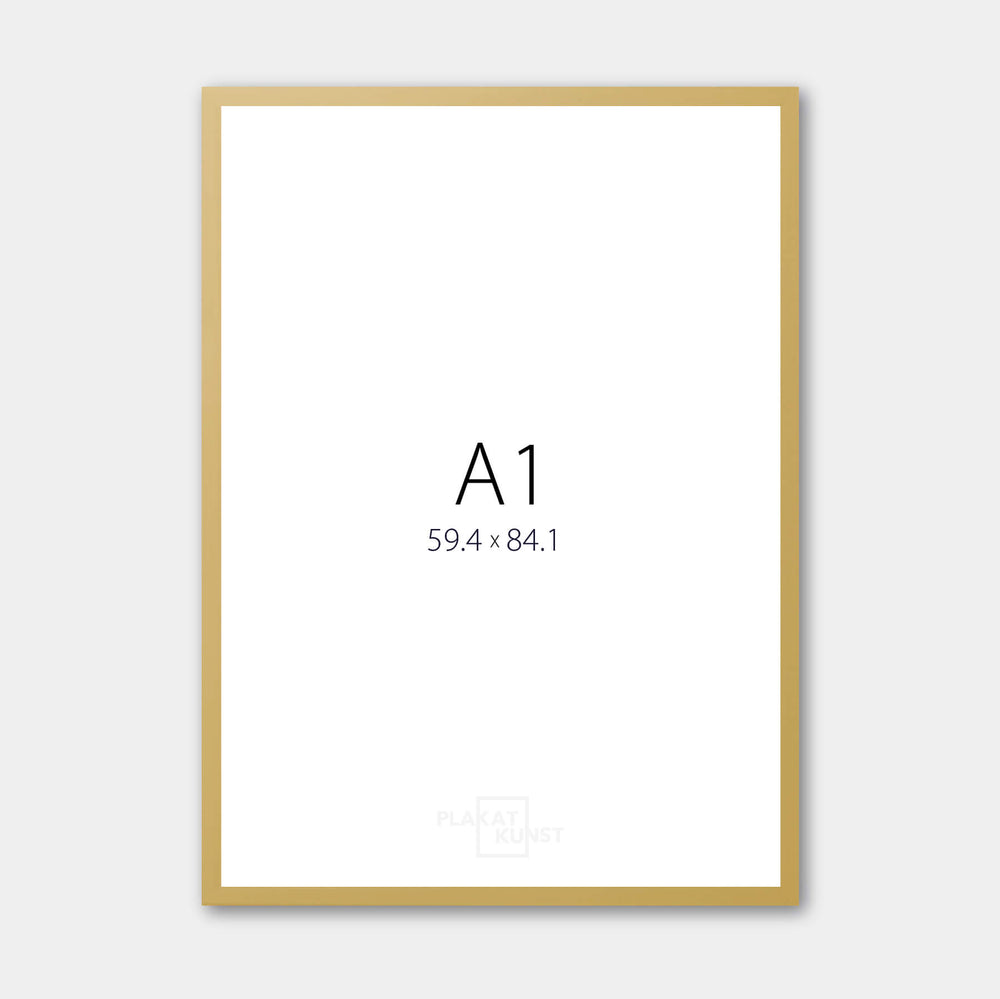 A1 picture frames (60 x 84 cm) | Worldwide shipping
