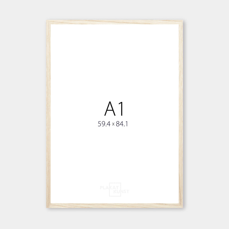 A1 picture frames (60 x 84 cm) | Worldwide shipping
